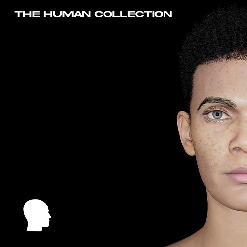 The Human Collection – NFT Calendar