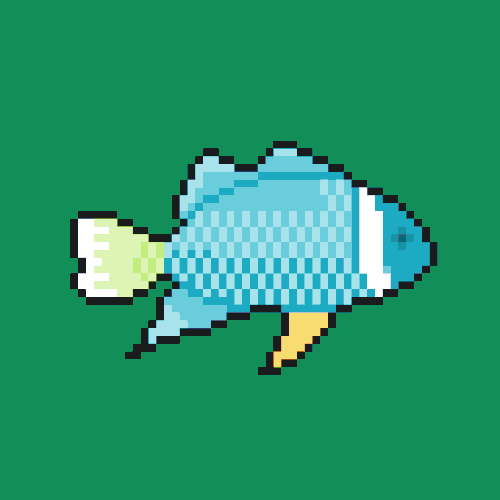 The Rainbow Coral Fish NFT – NFT Calendar