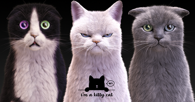 I'm a Kitty Cat NFT – NFT Calendar