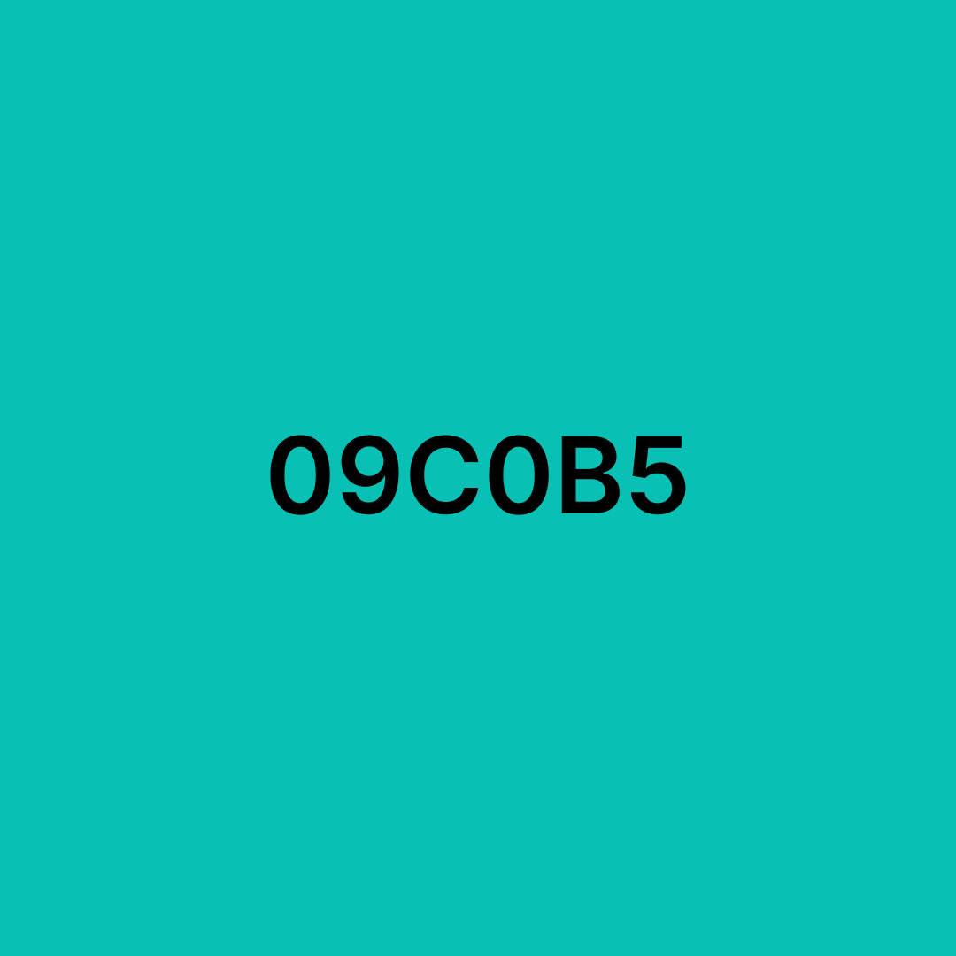 Hex Own Your Color NFT Calendar