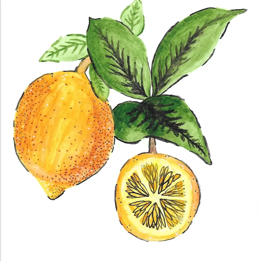 Lemon – NFT Calendar
