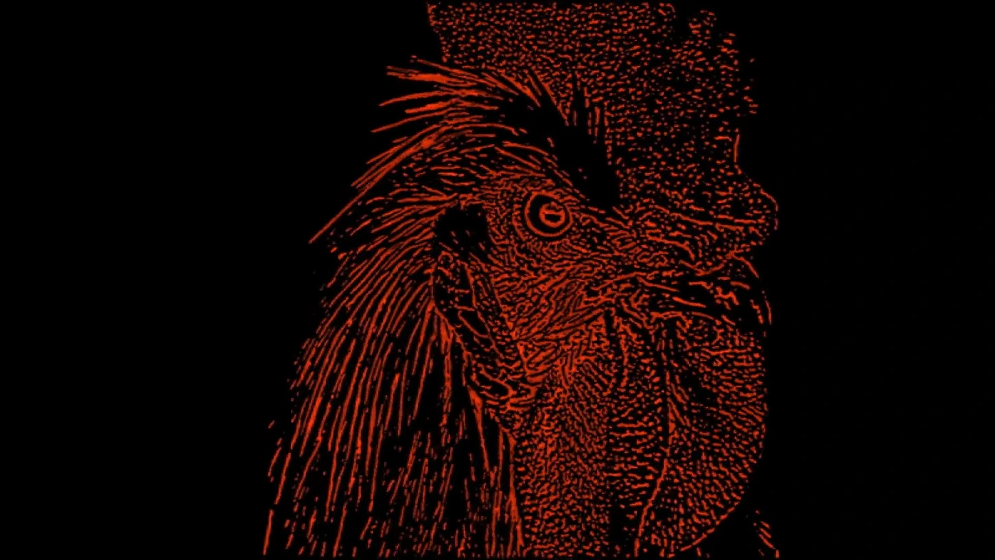 The red rooster with two faces – NFT Calendar