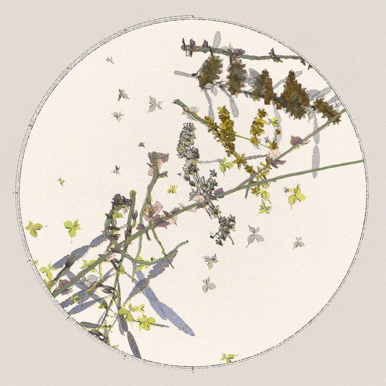 Polypaths – NFT Calendar