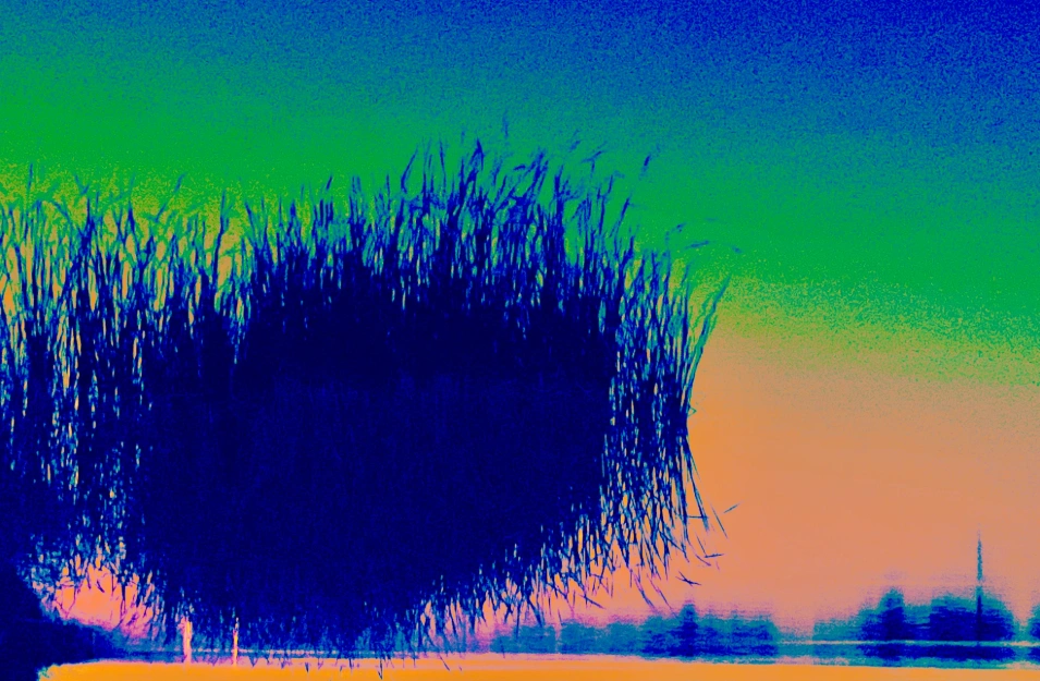 Shadow – NFT Calendar